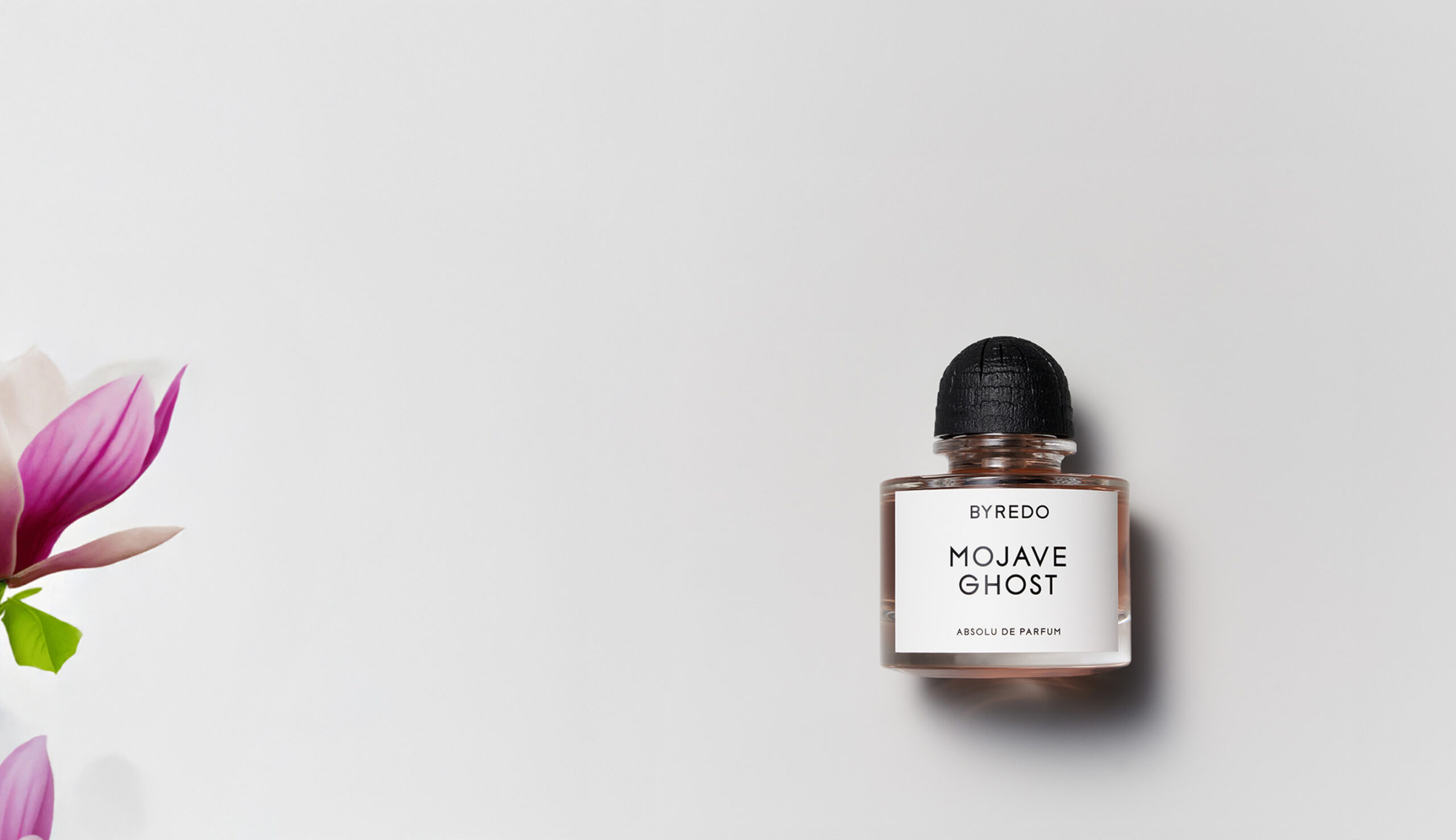 Beauté - FaiveleyTech